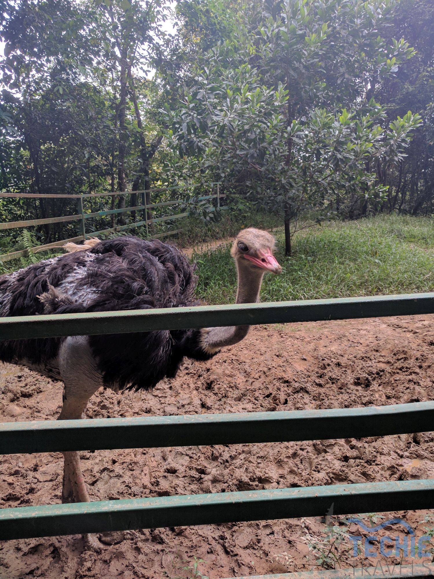 Kota Kinabalu - Sabeh Cultural Center and Lok Kawi Zoo | TechieTravels