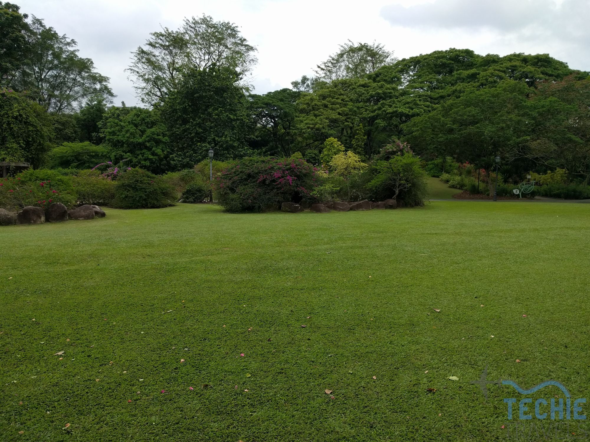 Singapore - Chinatown, Botanic Gardens, and Raffles | TechieTravels