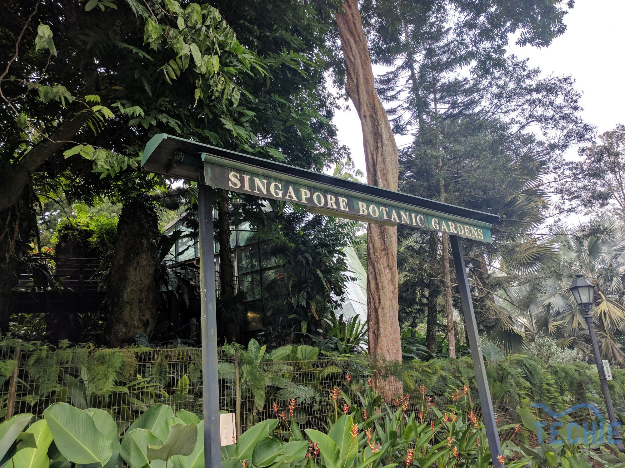 Singapore - Chinatown, Botanic Gardens, and Raffles | TechieTravels